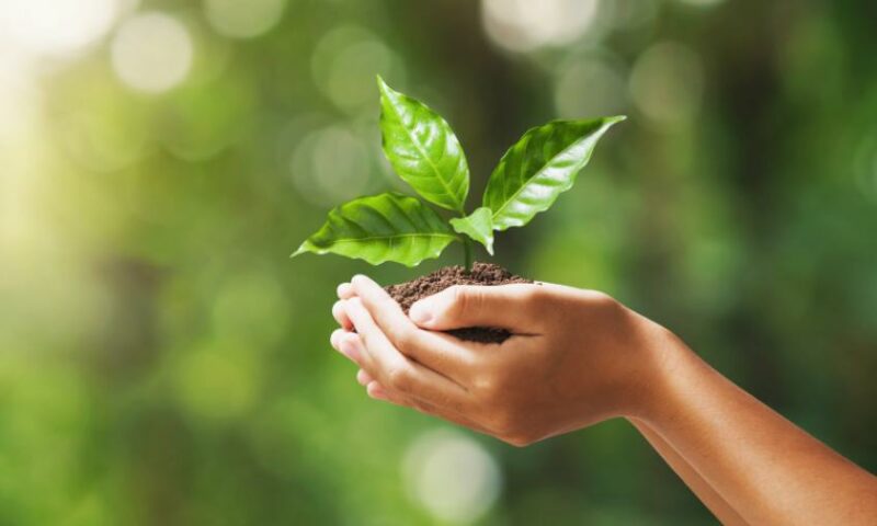 EKOPUR, la gamme bio sourcée - Cimentol