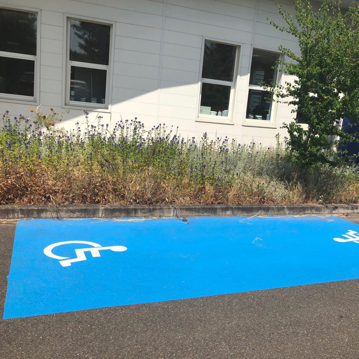 QUICK LINE HES - Cimentol